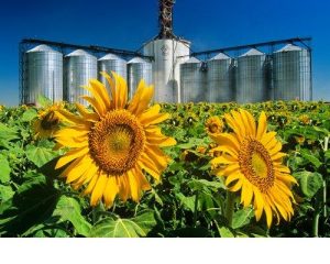 History Timeline – Paterson Global Foods