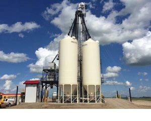 History Timeline – Paterson Global Foods